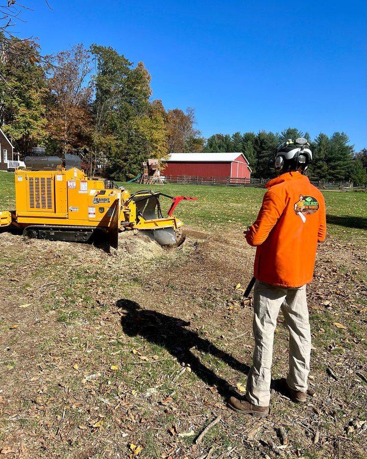 Best Tree Service in NJ - Lumberjacks Tree Service LLC