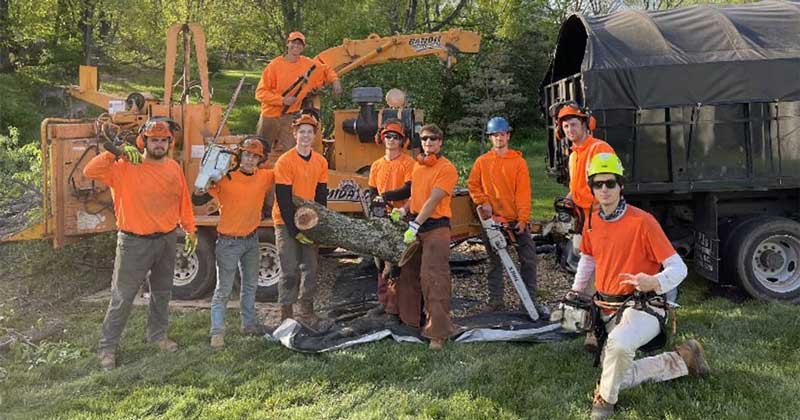 Best Tree Service in NJ - Lumberjacks Tree Service LLC