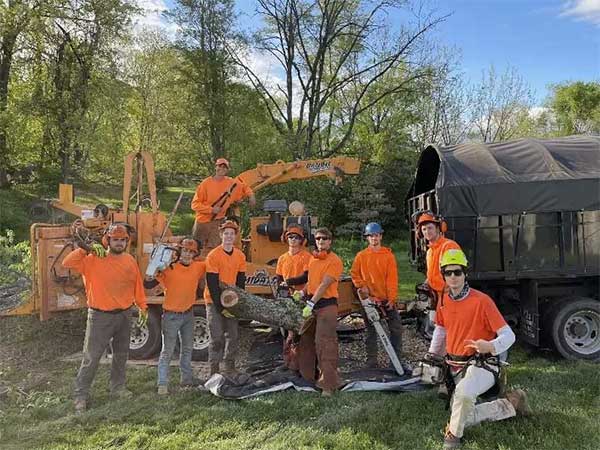 Best New Jersey Tree Removal Service - 2025